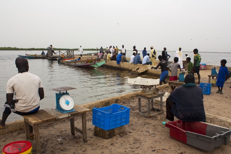 Sénégal - Carnet de voyage #2 - La Boucle Voyageuse